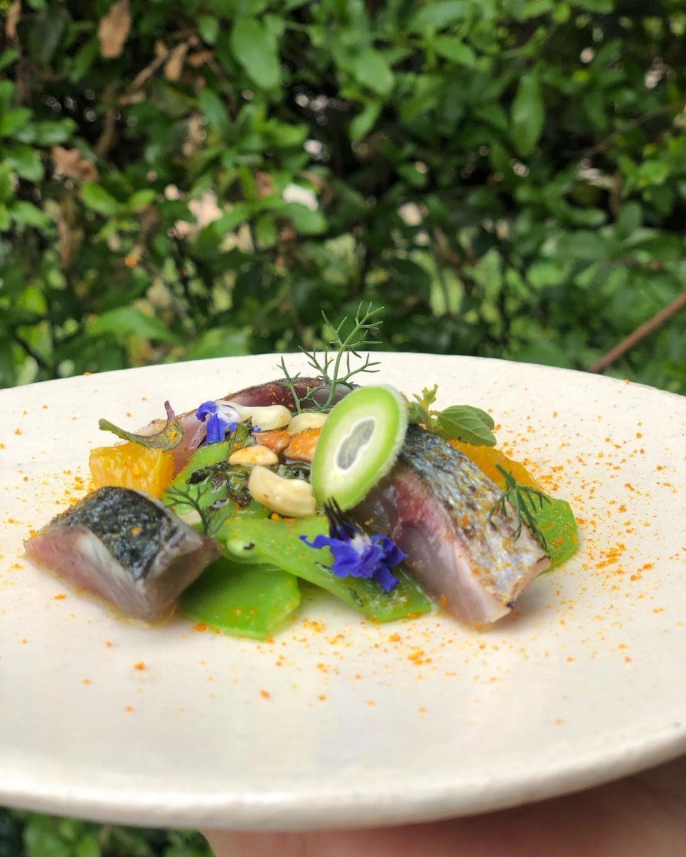 Ca Na Toneta - Essentially Mallorca